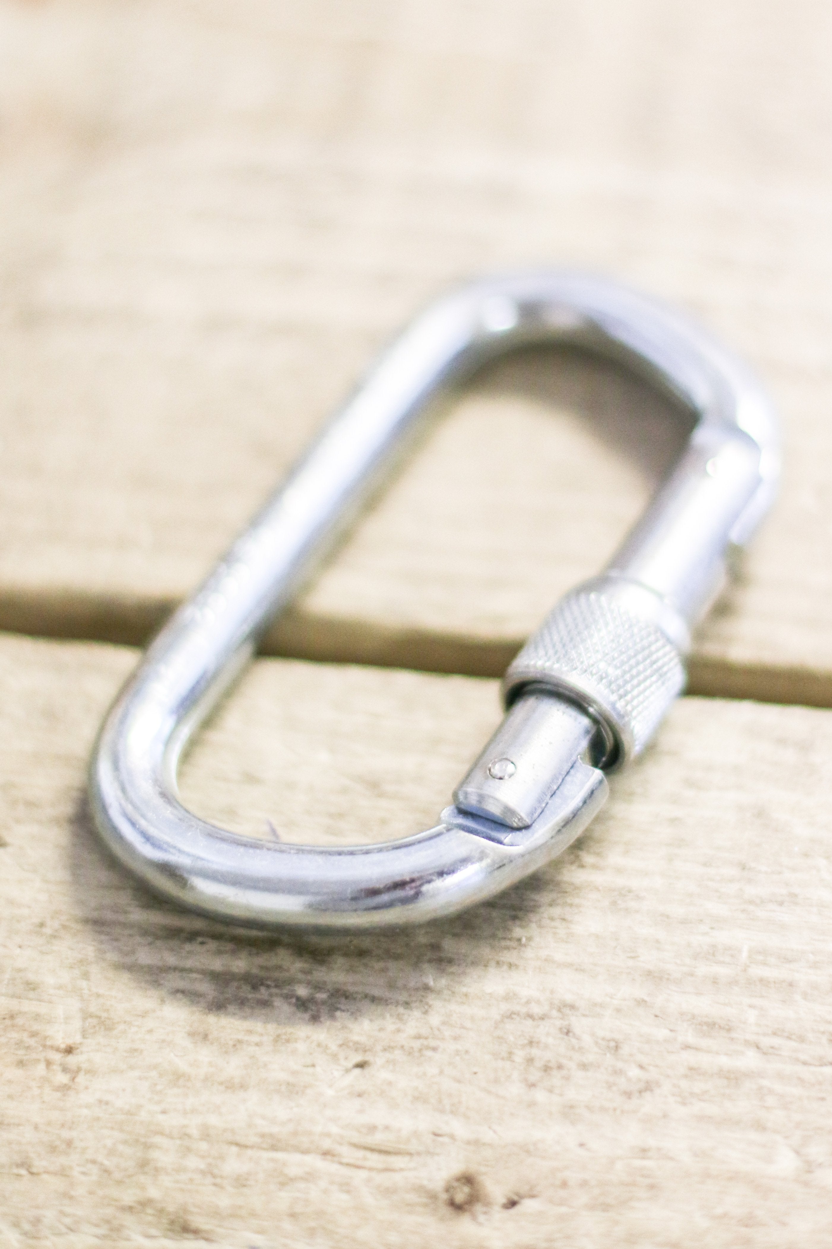 Foin - Steel D 10mm Screwgate – Rope Access Equip